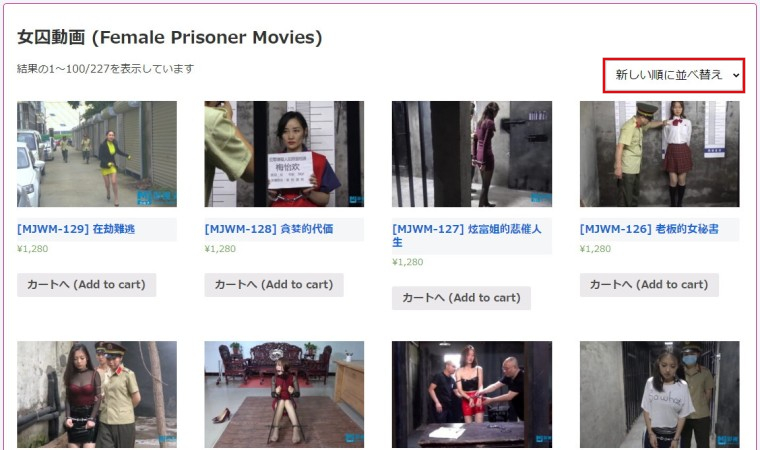 作品並べ替え・検索について（Tips for searching items） – Fictitious Prison